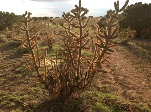 Classes | Autumn Kern