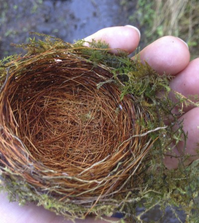 Autumn Kern | Going Within